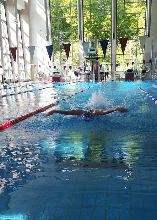 Stadtmeisterschaften im Schwimmen - Wilhelm Hittorf Gymnasium Münster Stadtmeisterschaften im Schwimmen - Wilhelm Hittorf Gymnasium Münster